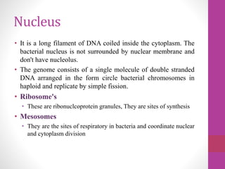 Lecture 2:- Bacterial morphology , bacterial cell structure | PPTX