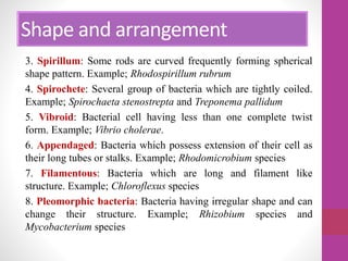 Lecture 2:- Bacterial morphology , bacterial cell structure | PPTX