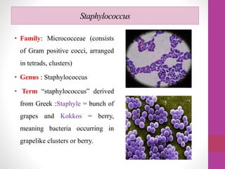 Lecture 5:- Staphylococcus | PPTX