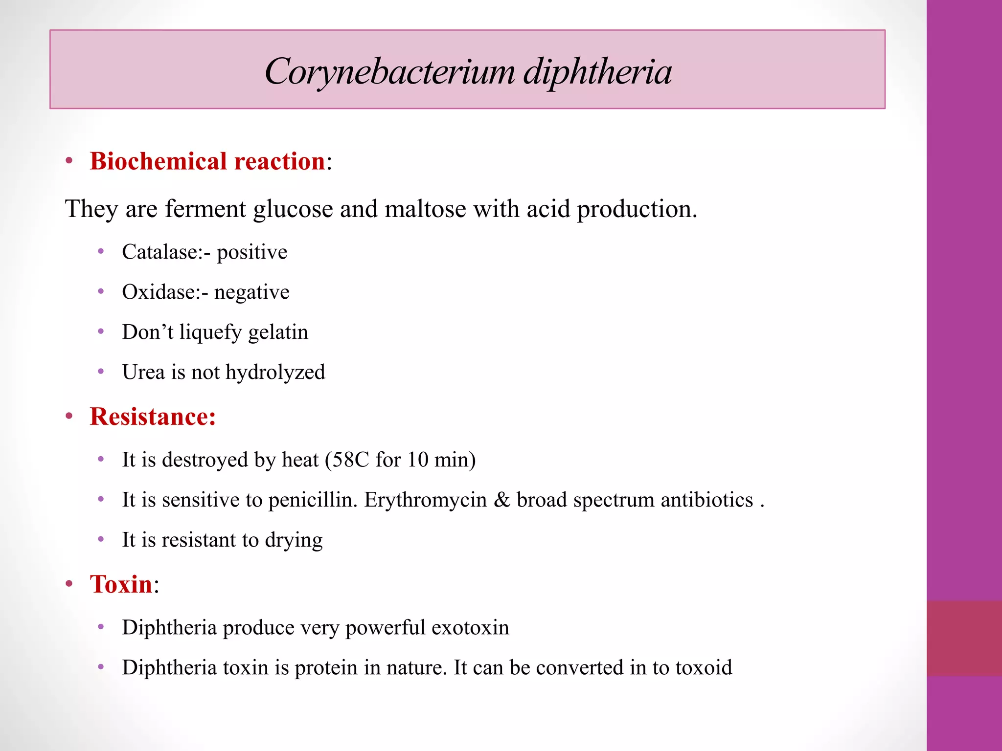 Lecture 6:- Corynebacterium diphtheria | PPTX