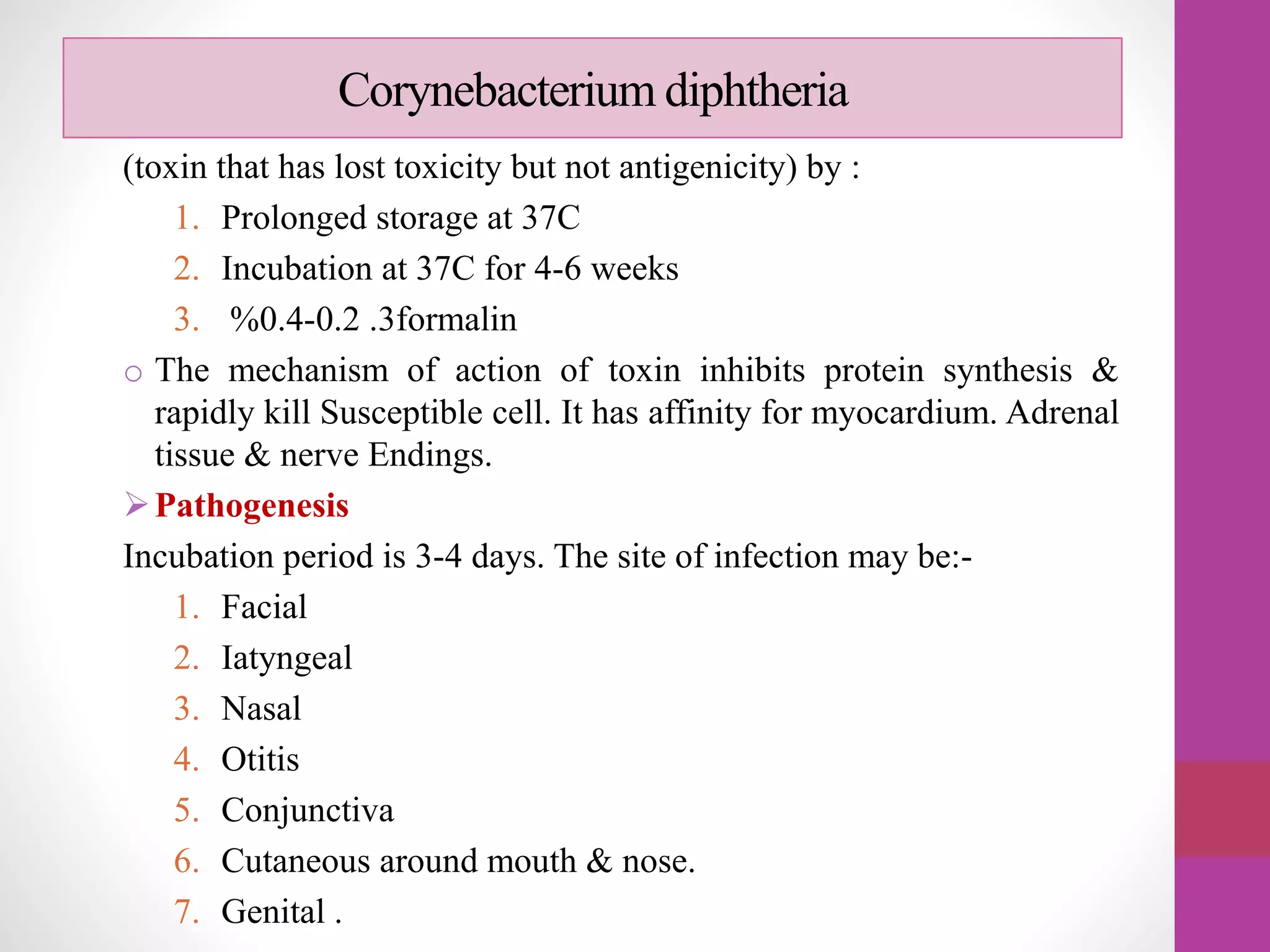 Lecture 6:- Corynebacterium diphtheria | PPTX