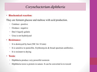 Lecture 6:- Corynebacterium diphtheria | PPTX
