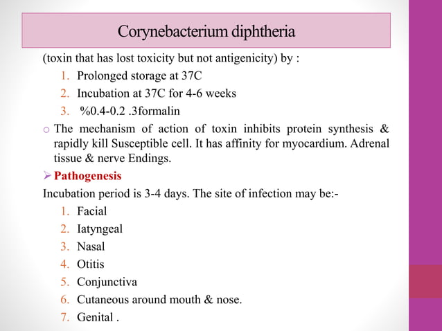 Lecture 6:- Corynebacterium diphtheria | PPT