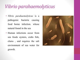 Lecture 7:- Food poisoning | PPTX