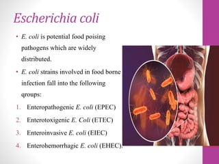 Lecture 7:- Food poisoning | PPTX | Infectious Diseases | Diseases and ...