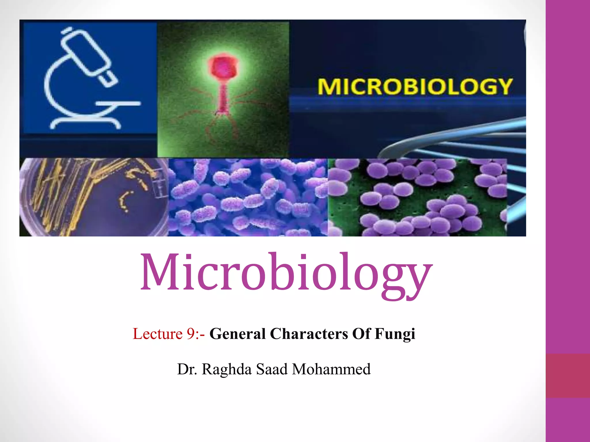 Lecture 9:- General Characters Of Fungi | PPTX
