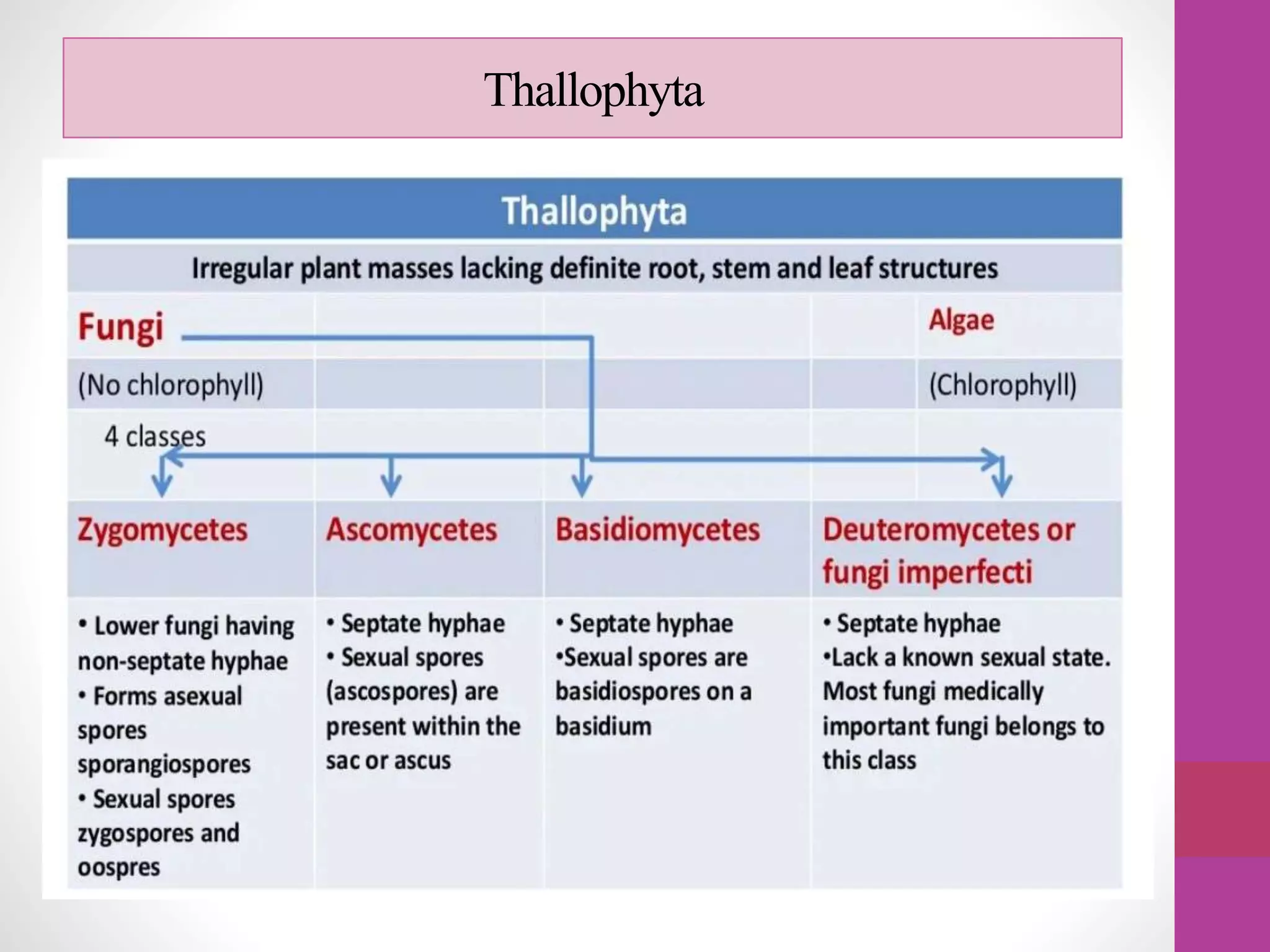 Lecture 9:- General Characters Of Fungi | PPTX