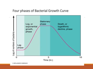 Microbiology Lect 5 Bacterial growth.ppt