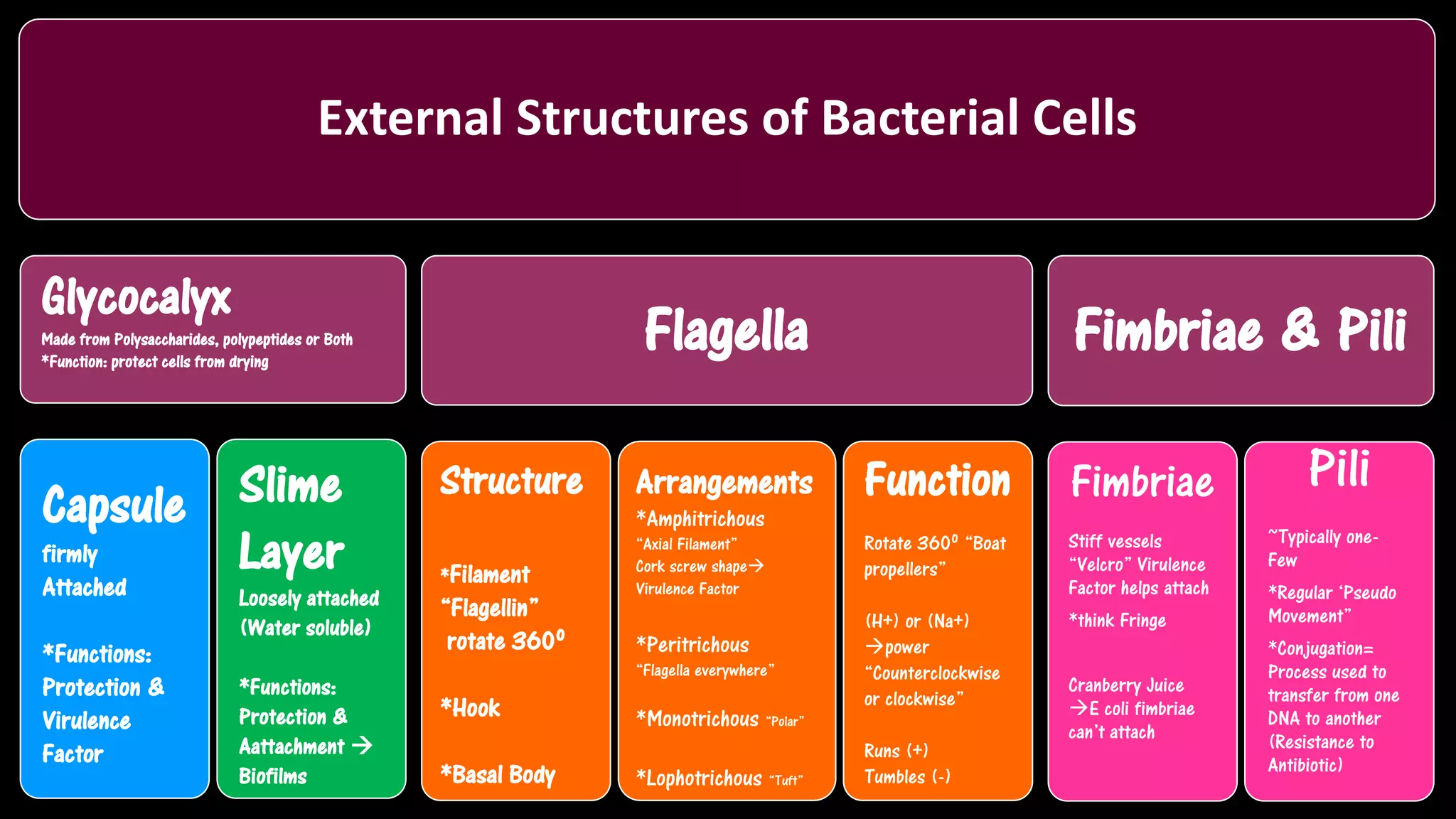 Microbiology lecture | PDF | Biological Sciences | Science