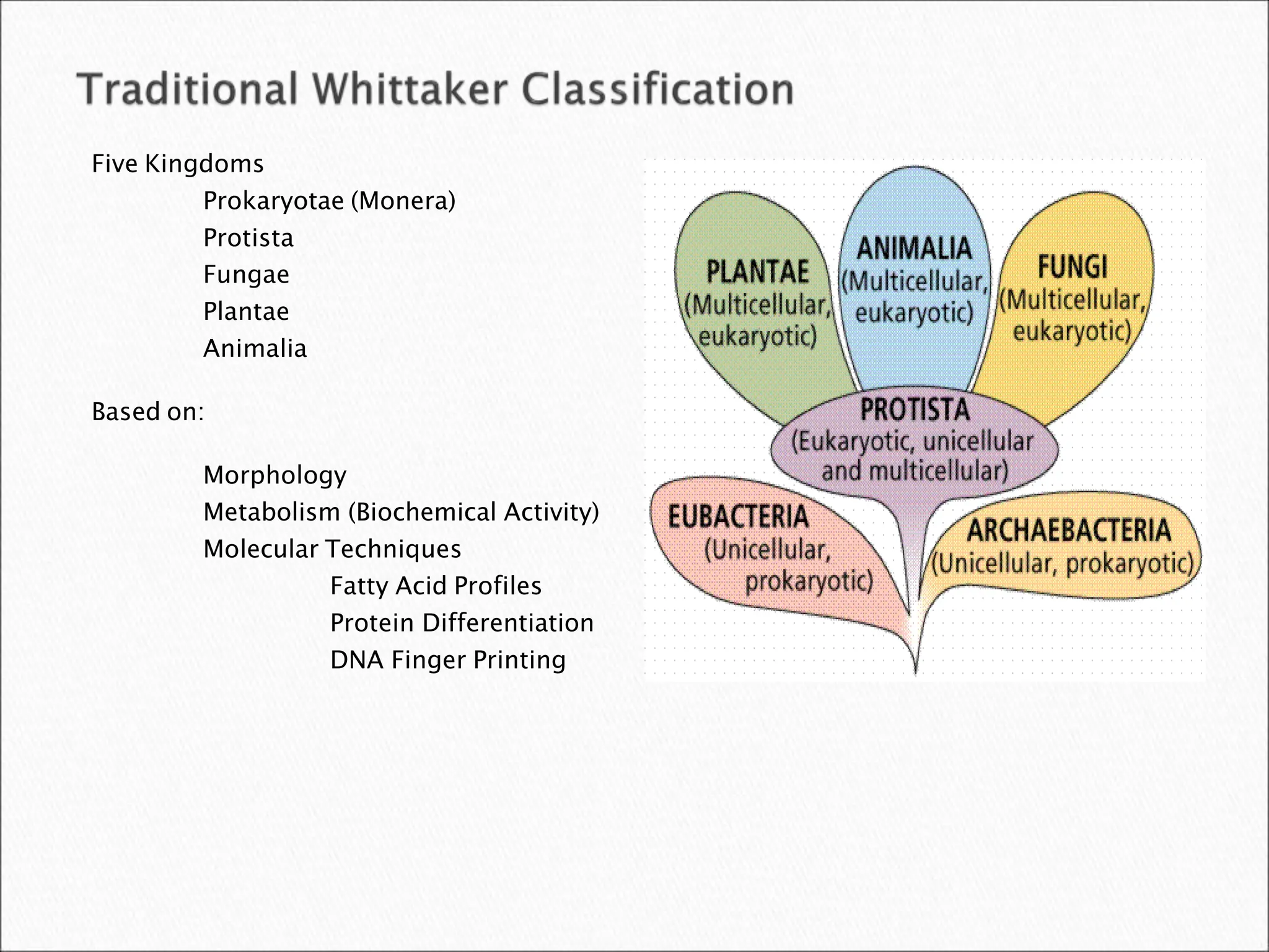 Microbiology LECTURE1.pptx