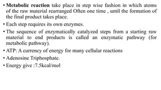 MICROBIOLOGY LECTURE 3.pptx