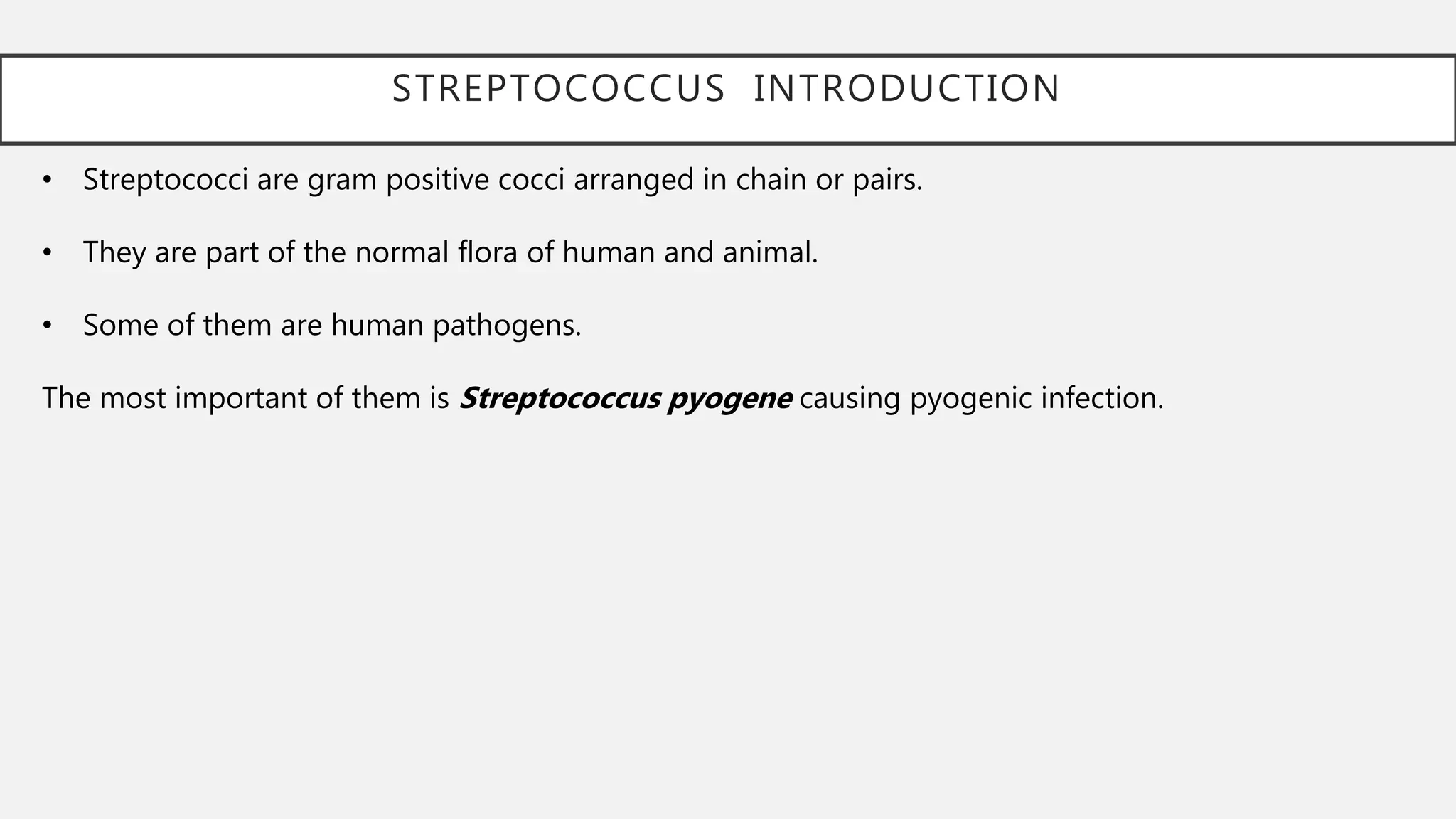 Streptococcus and Stephylococcus Genus in Microbiology@meet Padhiyar | PPTX