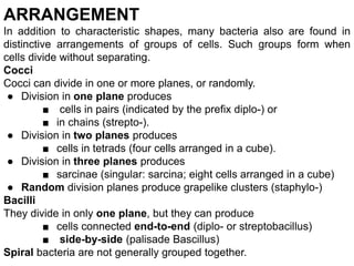 Microbiology lecture.pptx