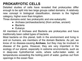 Microbiology lecture.pptx