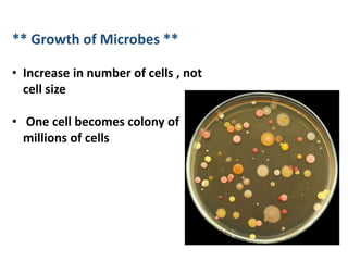 microbiology Neha yadav.pptx