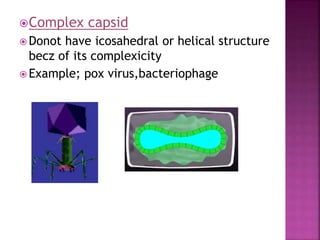 microbiology | PPT
