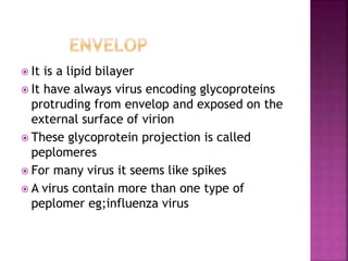 microbiology | PPT