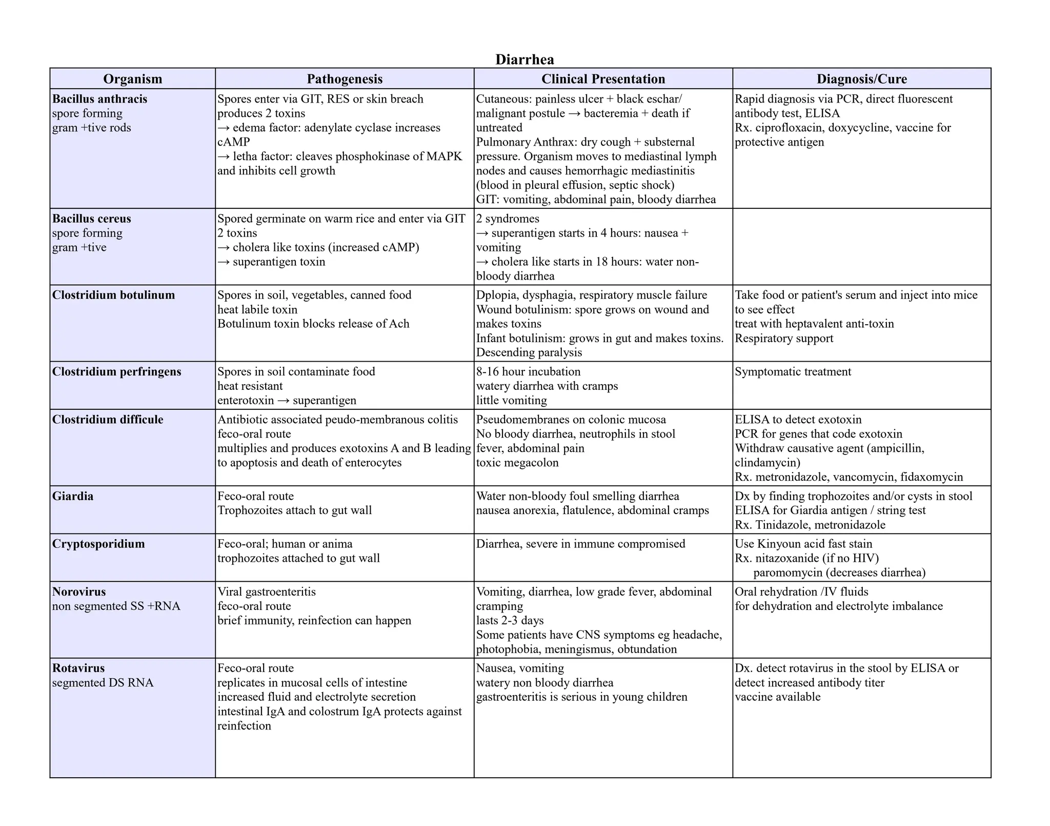 Microbiology Notes.pdf