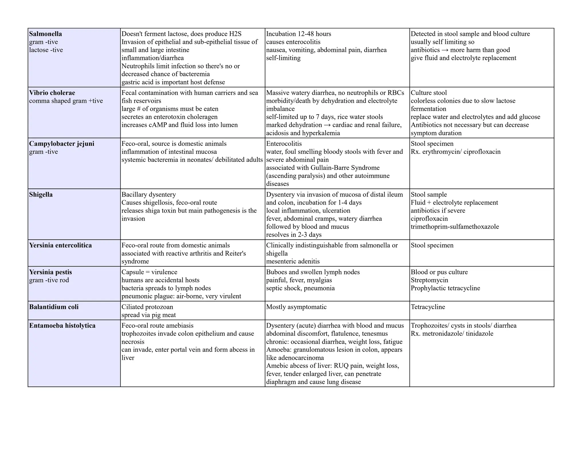 Microbiology Notes.pdf