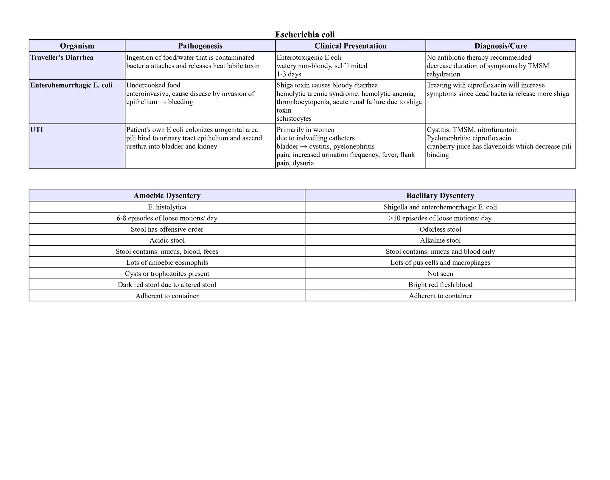 Microbiology Notes.pdf