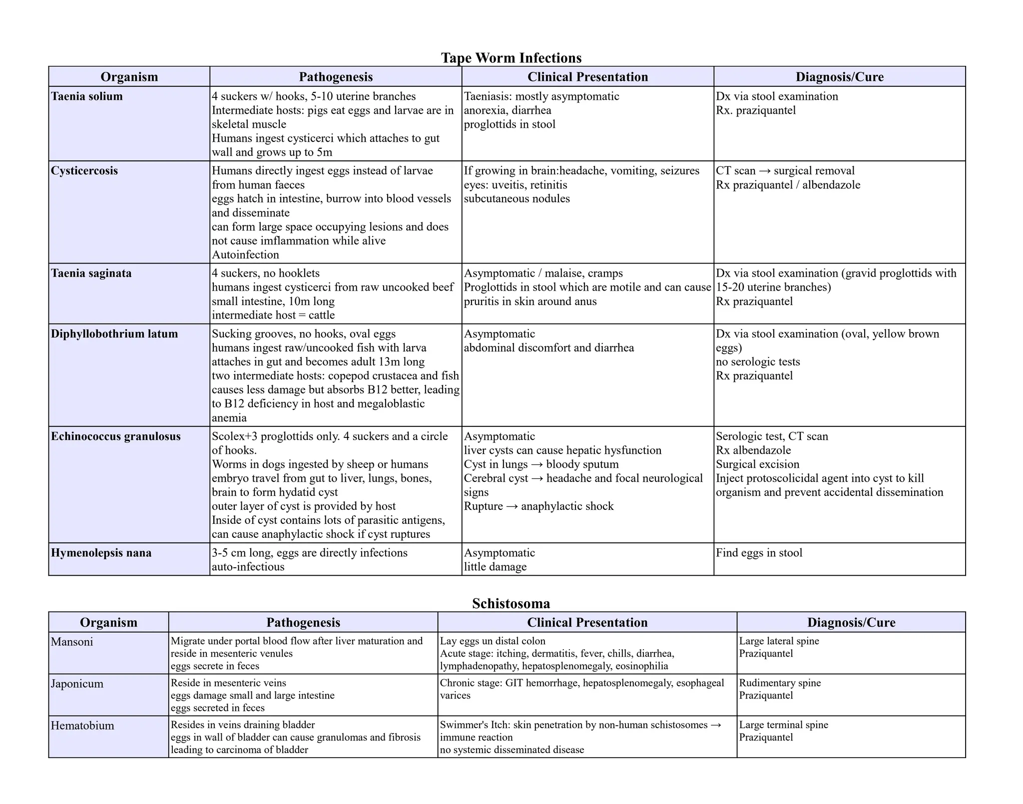 Microbiology Notes.pdf