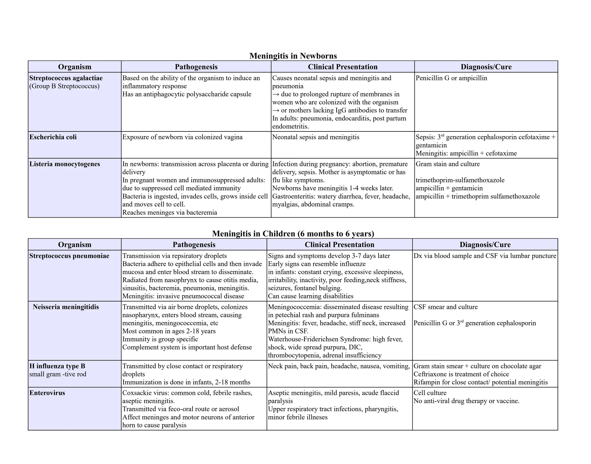 Microbiology Notes.pdf