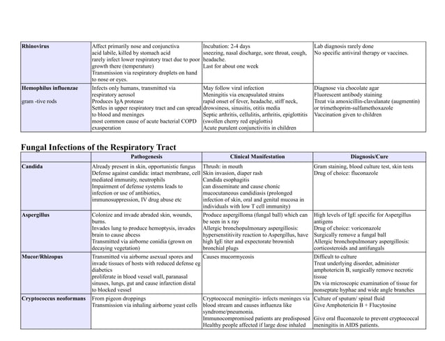 Microbiology Notes.pdf