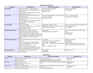 Microbiology Notes.pdf