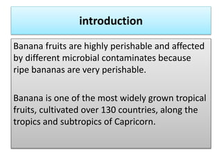 Microbiology of banana.pptx