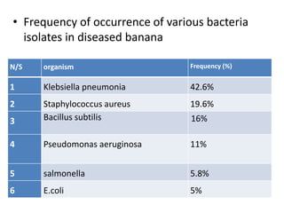 Microbiology of banana.pptx