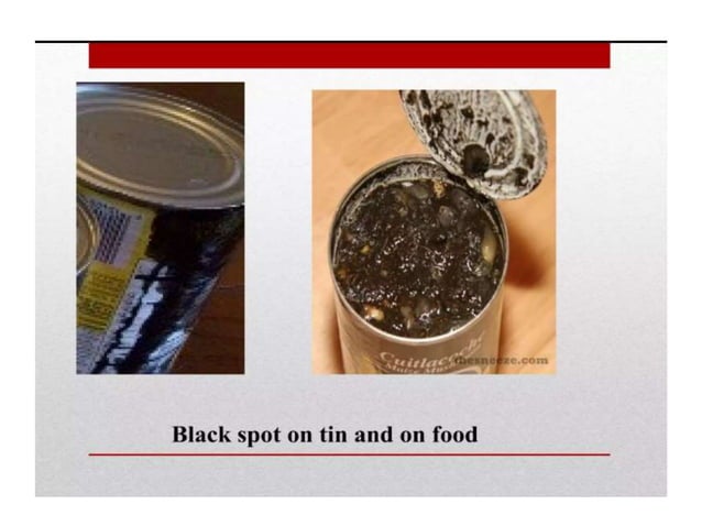 Microbiology of canned foods pdf.pdf