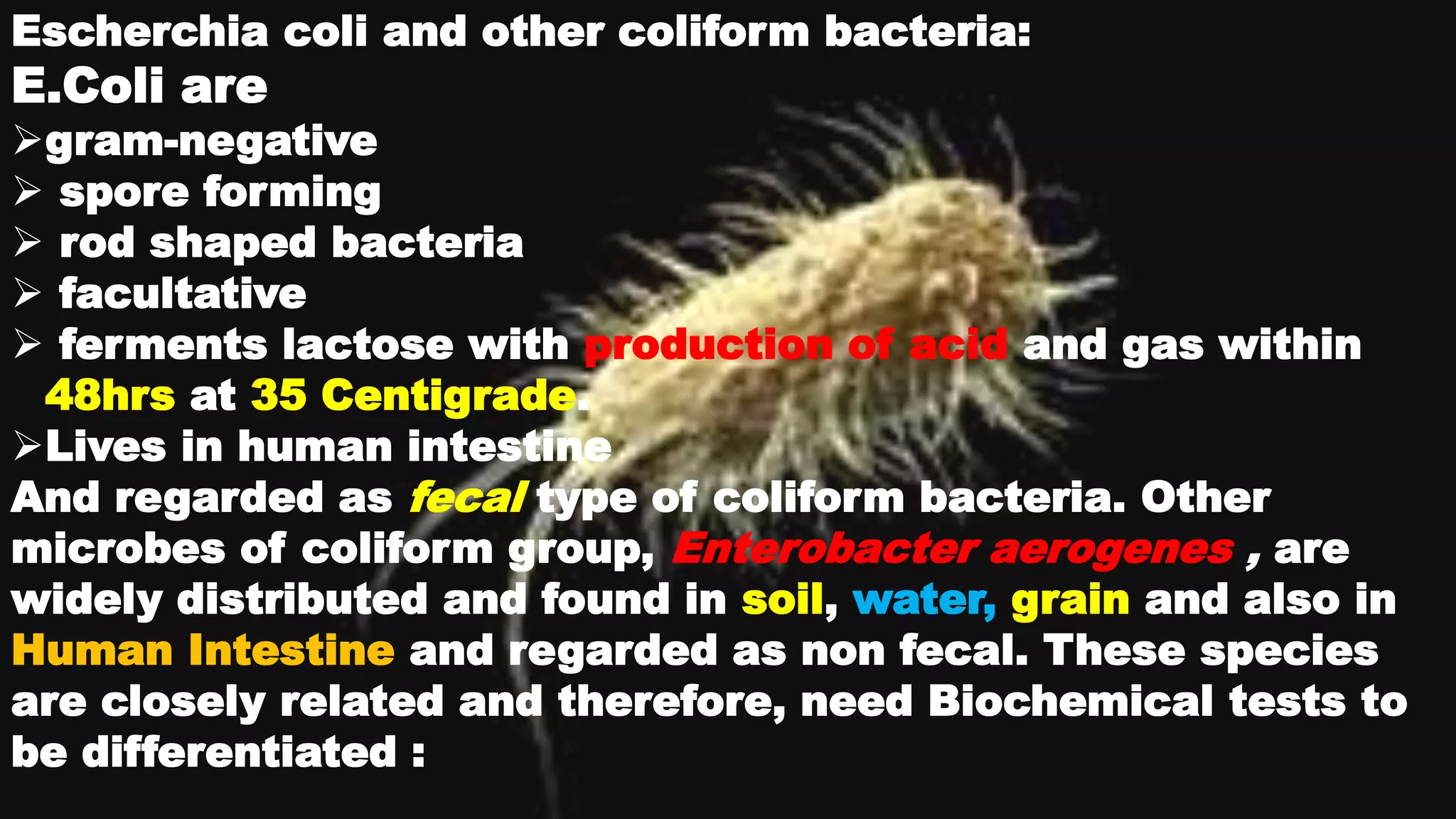 Microbiology of domestic and sewage water | PPTX