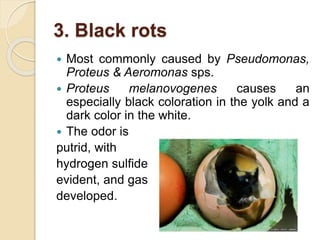 Microbiology of eggs sonal | PPTX