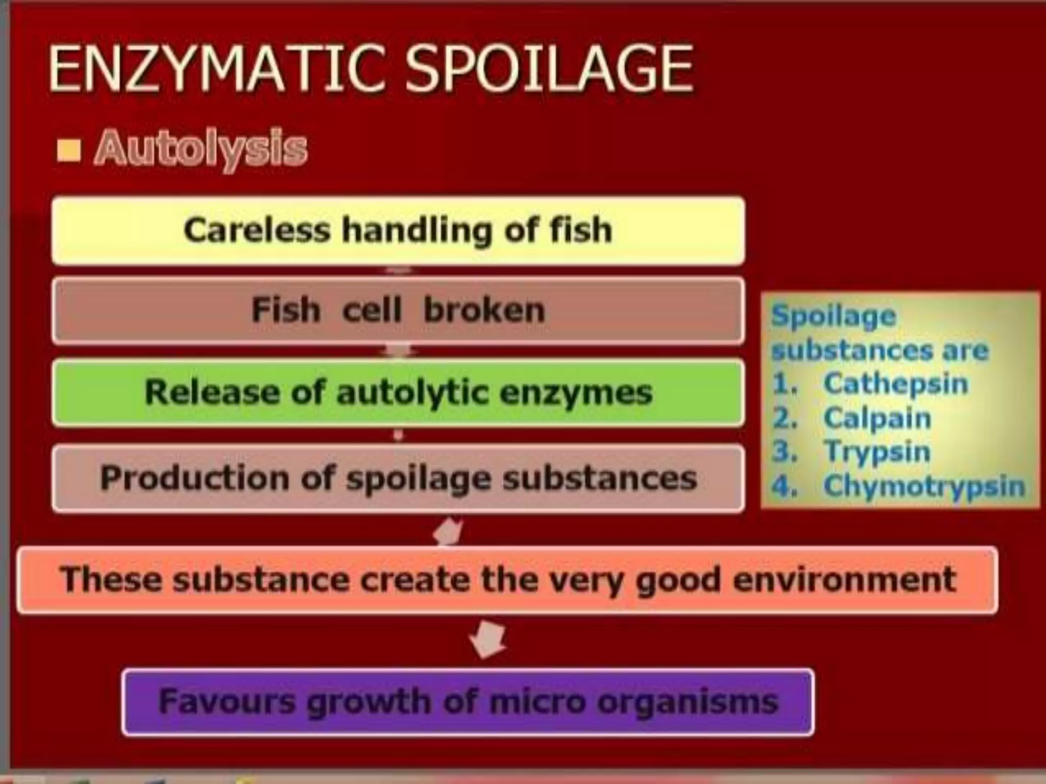 Microbiology of fish and eggs | PPTX