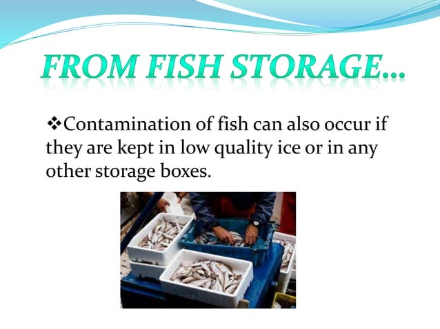 Microbiology of fish and eggs | PPT