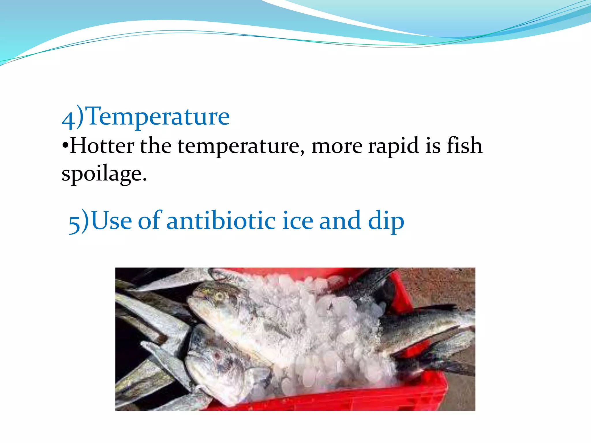 Microbiology of fish and eggs | PPTX
