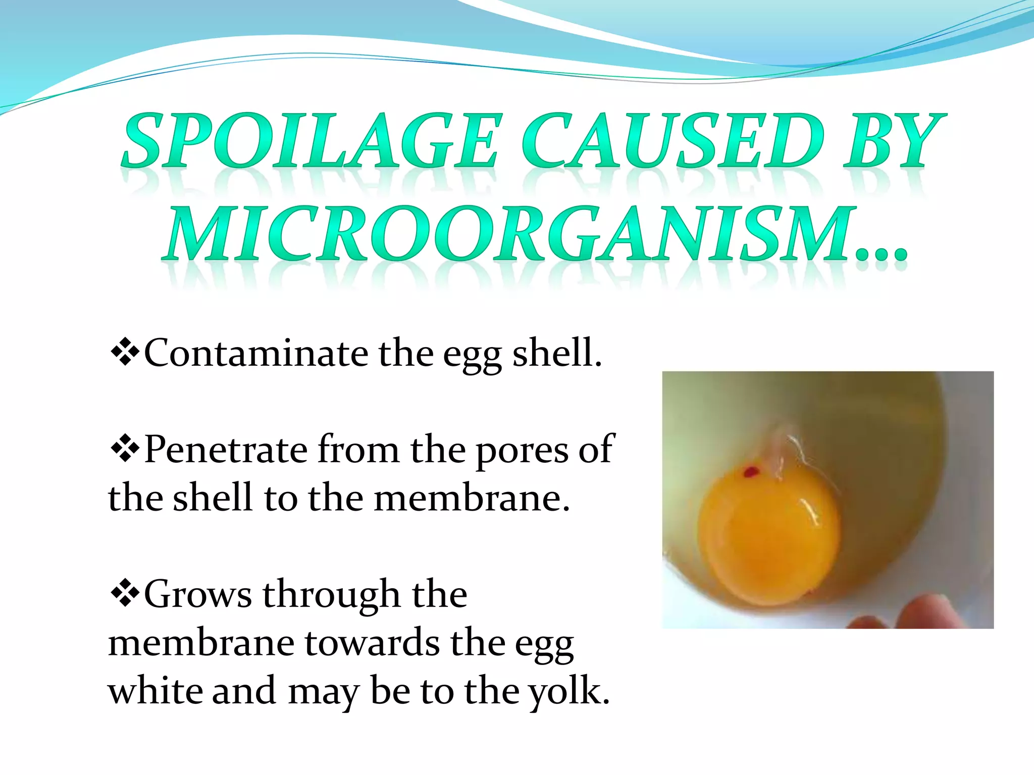 Microbiology of fish and eggs | PPTX