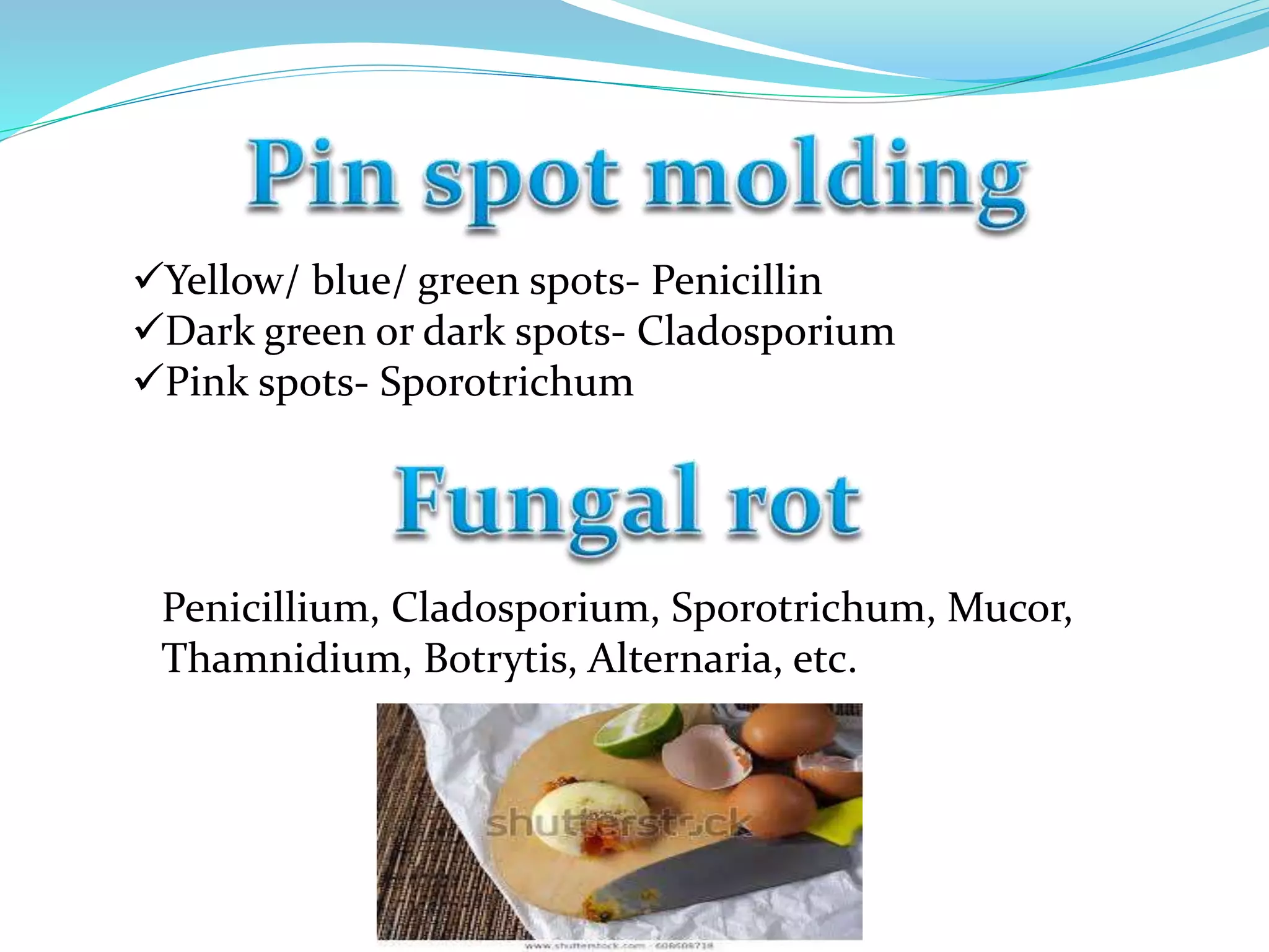 Microbiology of fish and eggs | PPTX