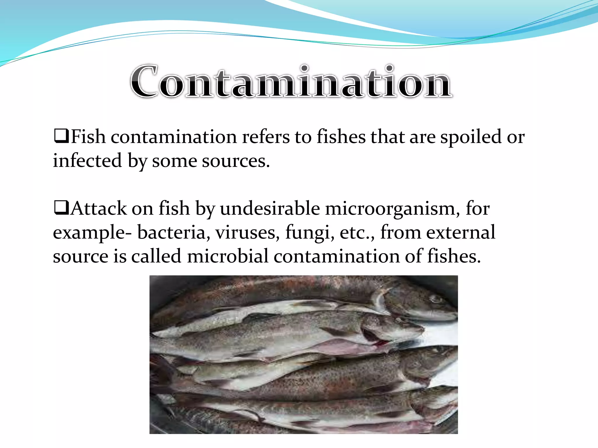 Microbiology of fish and eggs | PPTX
