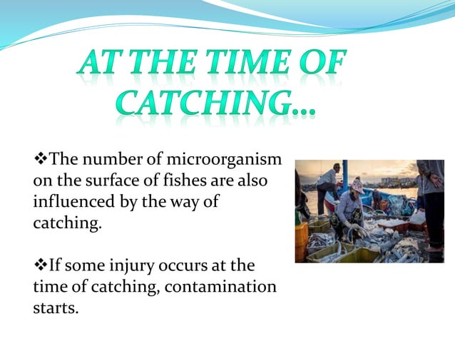 Microbiology of fish and eggs | PPTX