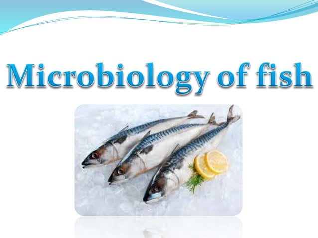 Microbiology of fish and eggs | PPTX