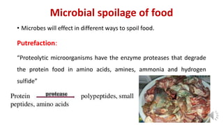 Microbiology of Food Milk and Milk products.pdf