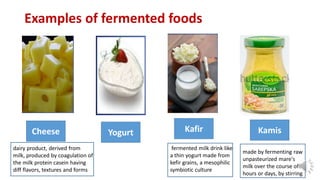 Microbiology of Food Milk and Milk products.pdf