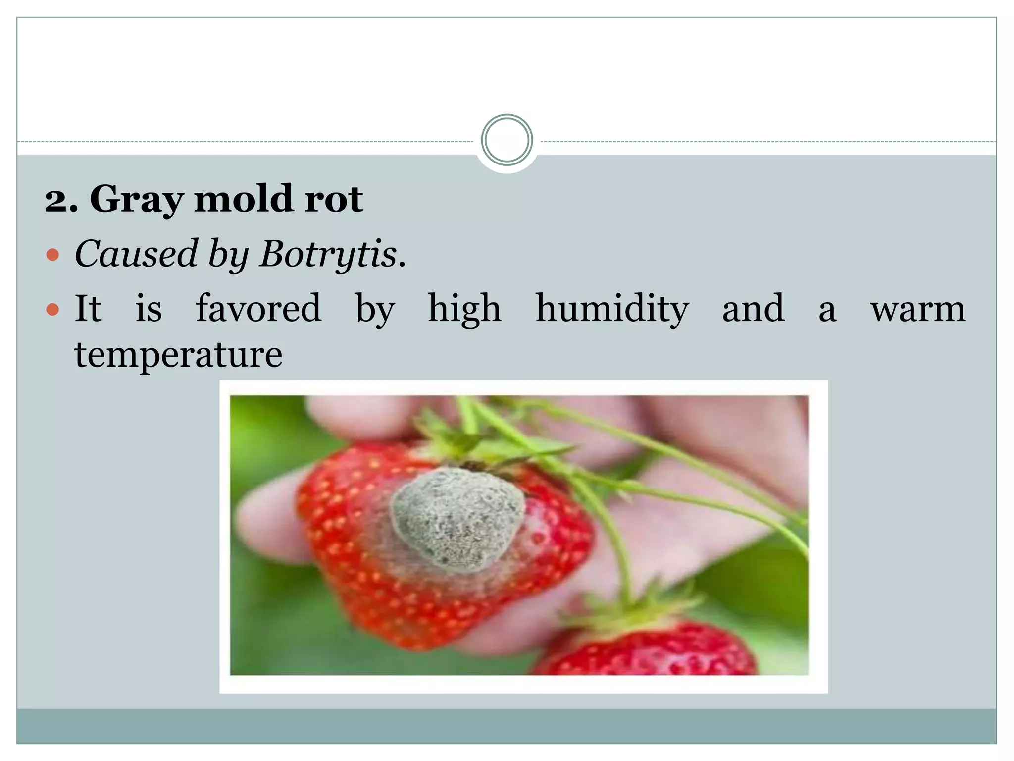 Microbial spoilage of fruits & vegetables | PPTX