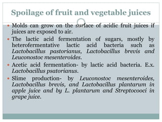 Microbial spoilage of fruits & vegetables | PPTX