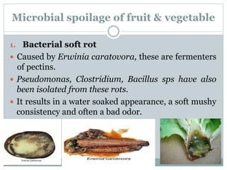 Microbial spoilage of fruits & vegetables | PPTX