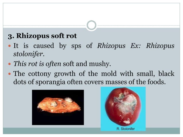 Microbial spoilage of fruits & vegetables | PPTX | Gardening | Home ...