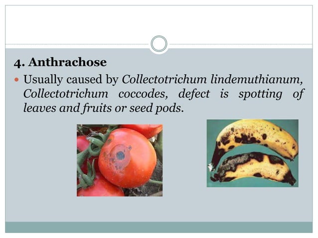 Microbial spoilage of fruits & vegetables | PPTX | Gardening | Home & Garden