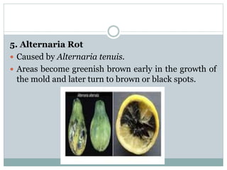 Microbial spoilage of fruits & vegetables | PPTX