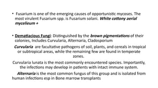 MICROBIOLOGY OF FUNGI INVOLVING CORNEA.pptx